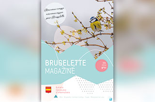 Brugelette – Décembre 2024 - Uni Média